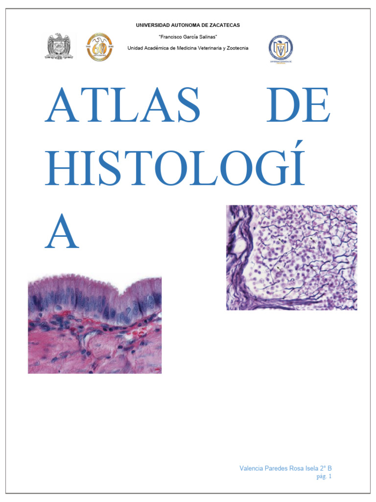 Atlas Histologia Valencia Paredes | PDF | Sangre | Epitelio