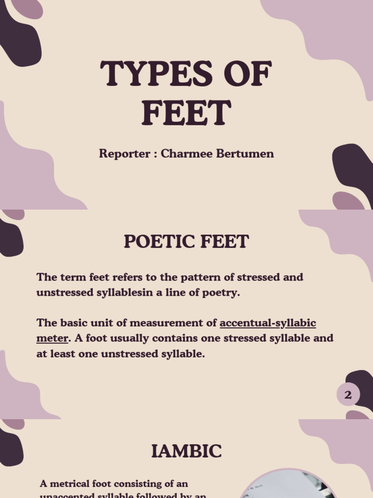 Types of Feet | PDF