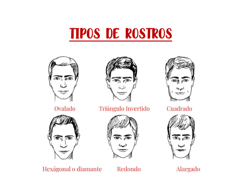 Tipos de Rostros 2 | PDF