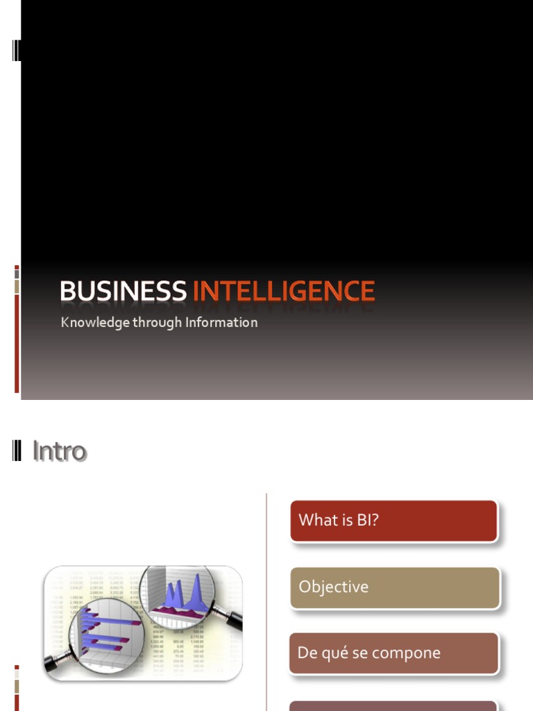 Business Intelligence Overview and Providers | PDF | Finance & Money ...