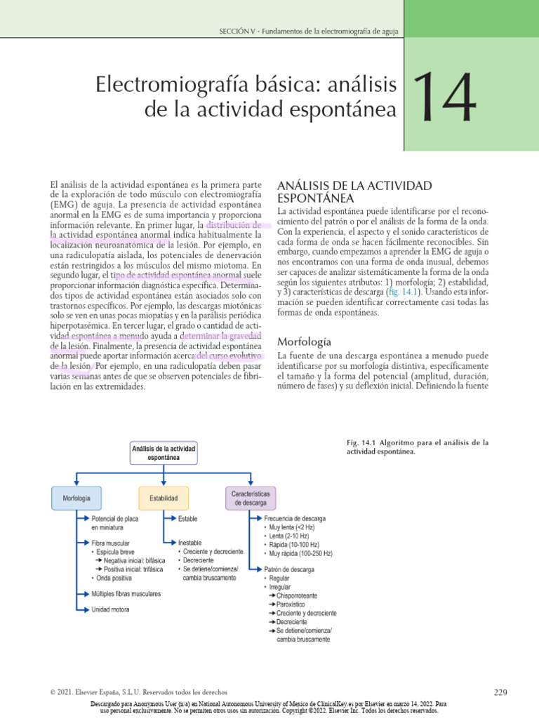 Electromiografia Análisis de Actividad Espontánea | PDF | Electromiografia | Unión neuromuscular