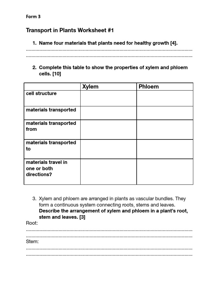 Plant Transport Systems Worksheet | PDF