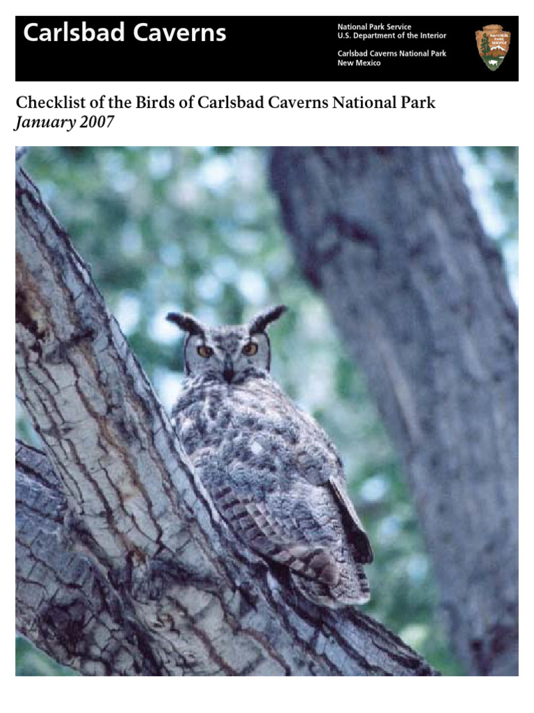 2007_CAVE_birds | Download Free PDF | Hawk | Owl