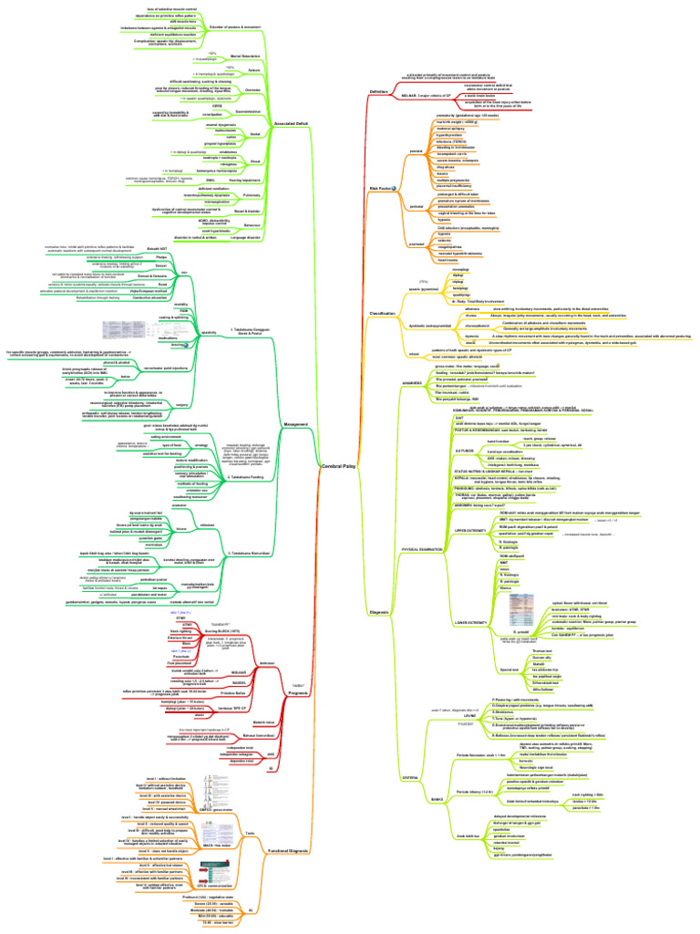 CP Mind Map | PDF | Cerebral Palsy | Preterm Birth