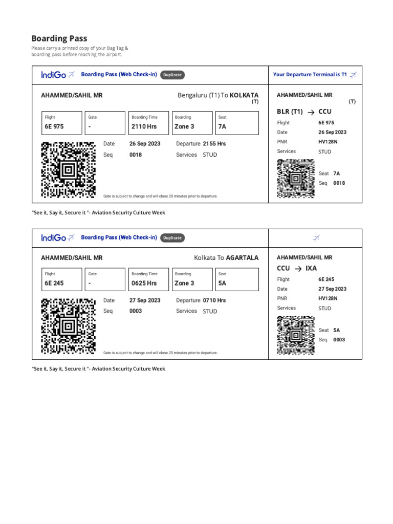 Boarding Pass | Download Free PDF | Aviation