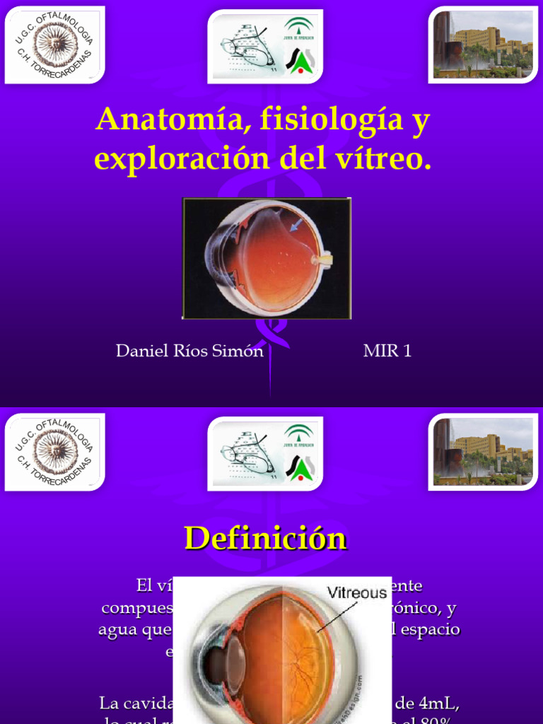 Anatomía y Función del Vítreo Ocular | PDF | Ojo humano | Anatomía