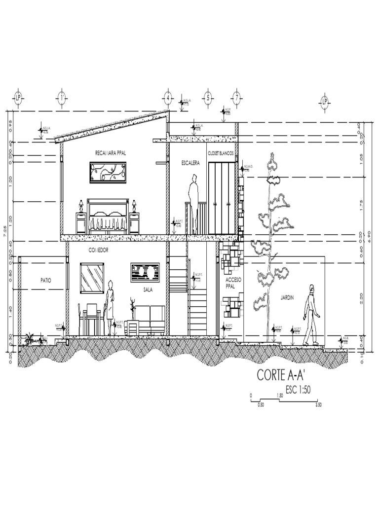 Corte Longitudinal | PDF