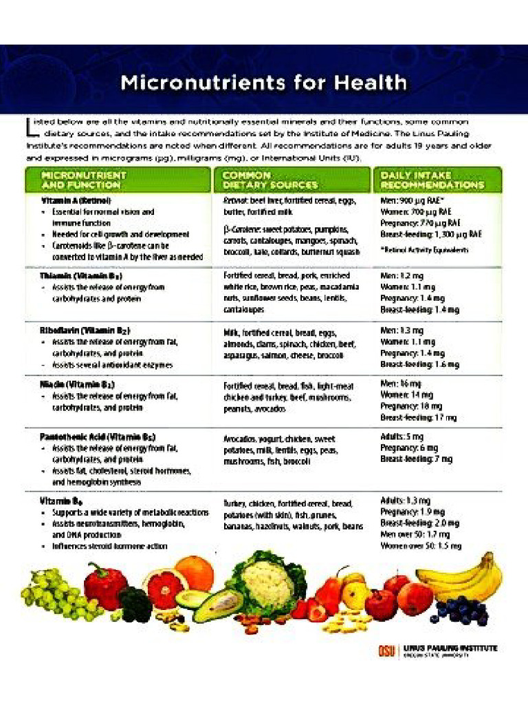 Best About Nutrients | PDF