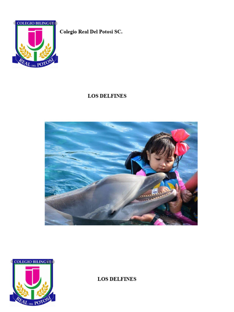 Proyecto Sara | PDF | Zoología