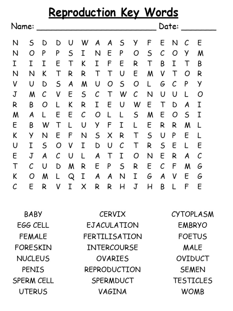 Reproduction Key Words starter.docx | PDF | Human Reproduction ...