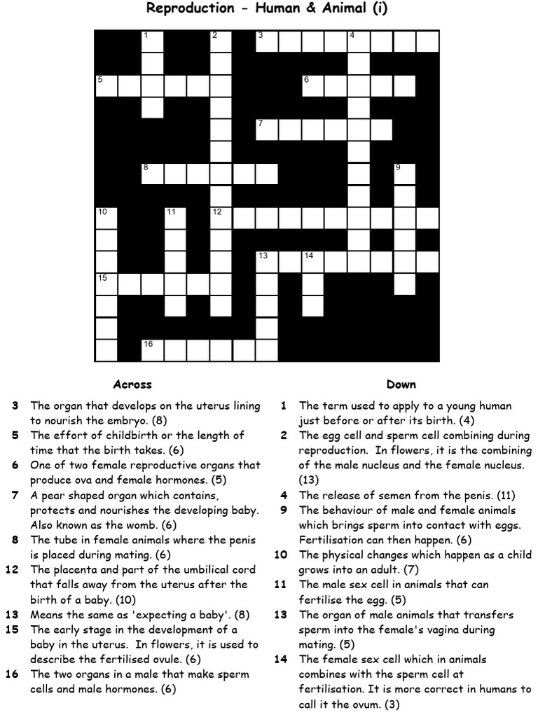 Reproduction1 and 2 CrossWord | PDF | Fertilisation | Human Reproduction