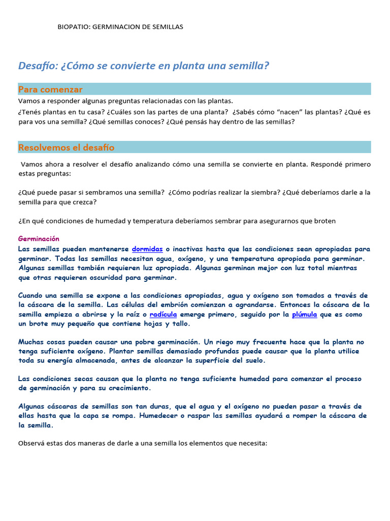 Biologia Germinacion | PDF | Germinación | Semilla