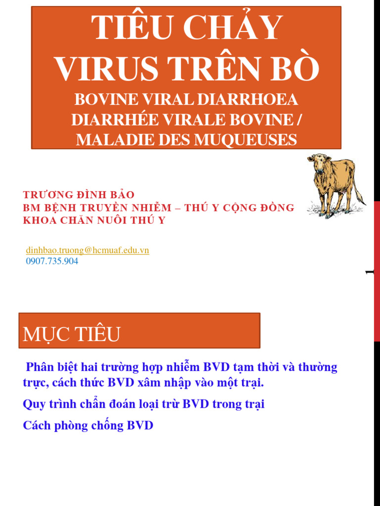 3 BVDV 31032021 | PDF