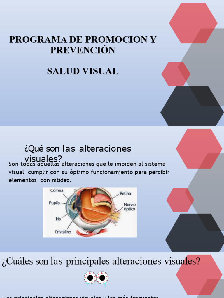 Capacitación de Cuidado Visual | PDF | Relaciones personales, crianza y ...