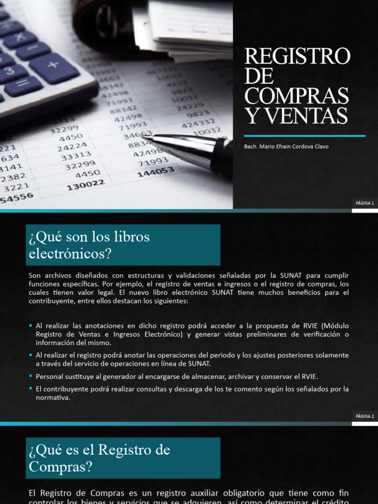 Registro de Compras y Ventas | PDF | Business | Contabilidad