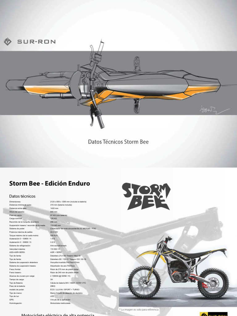 Datos Técnicos Storm Bee | PDF | Vehículo de motor | Coche