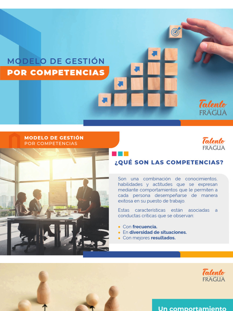 Modelo Competencias Con Detalles | PDF | Comportamiento | Planificación