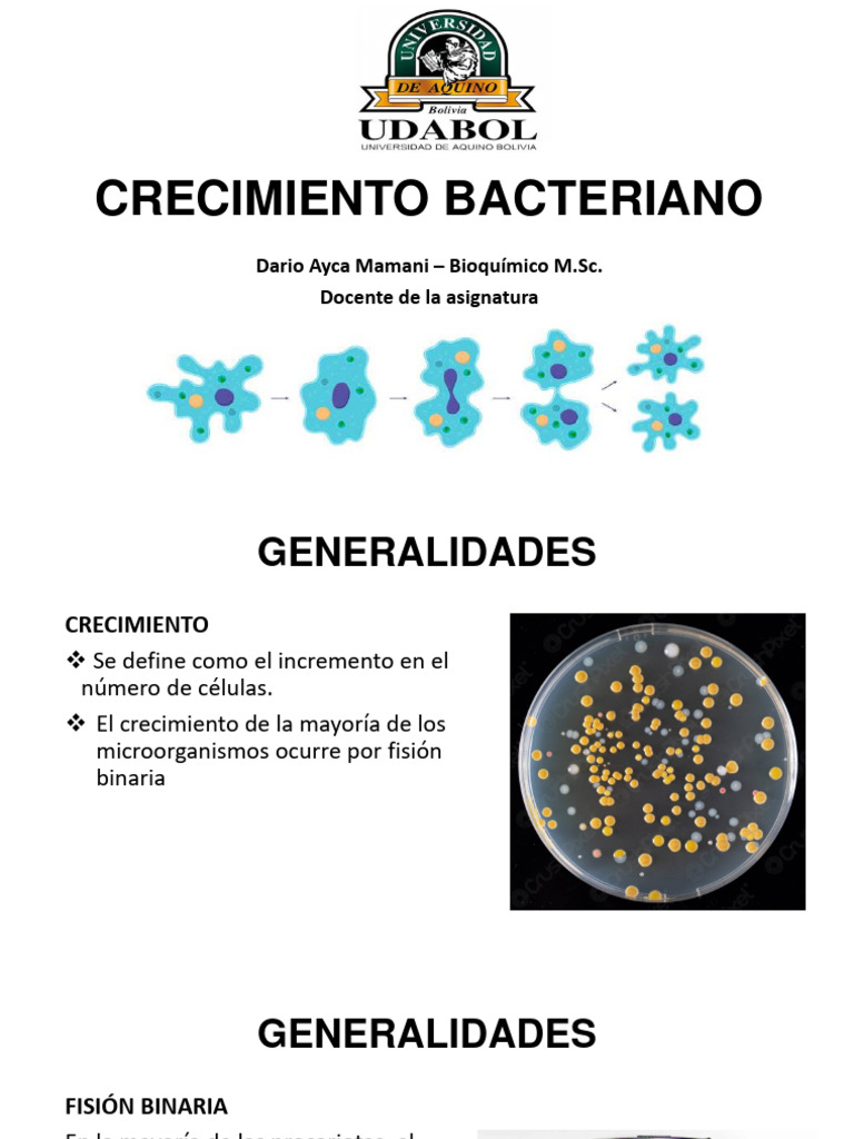 Crecimiento Bacteriano y Replicación | PDF | Replicación De Adn | Rna