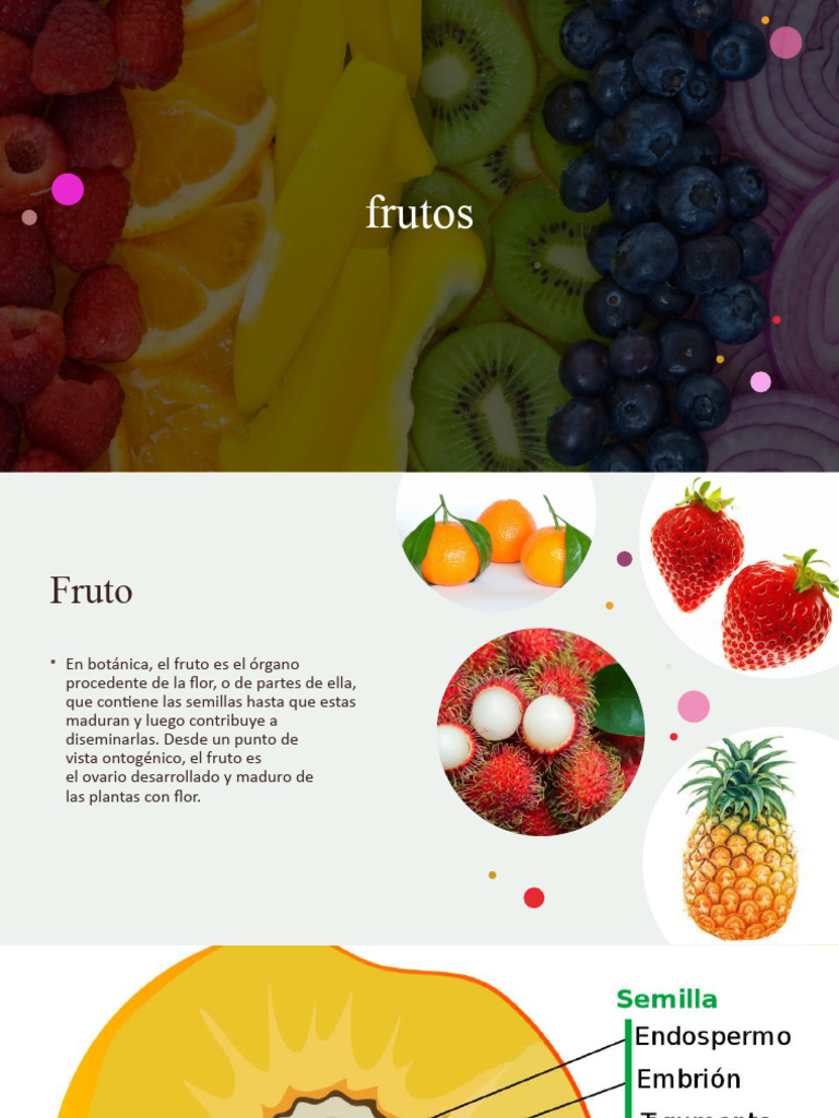 Morfología y funciones del fruto | PDF | Técnicas hortícolas | Plantas