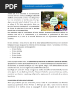 Texto informativo sobre animales | PDF
