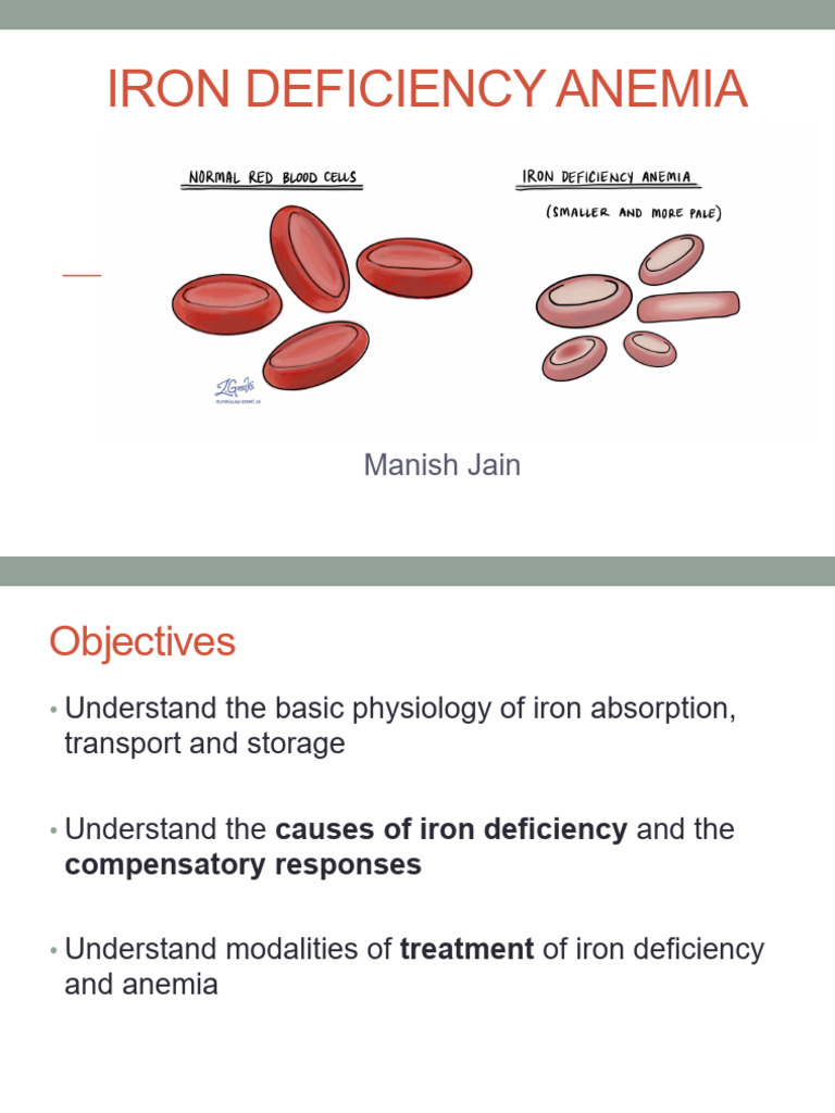 Iron Deficiency Anaemia | PDF | Hemoglobin | Red Blood Cell