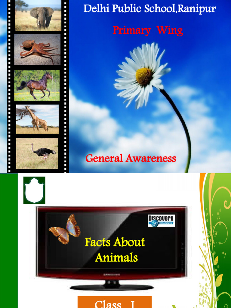 Endangered Species Facts for Kids | PDF