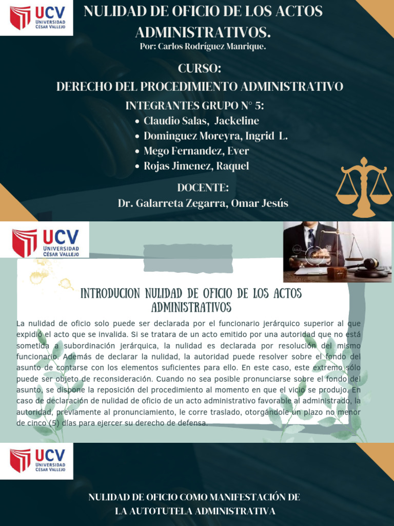 Nulidad de Actos Administrativos | PDF | Gobierno | Justicia