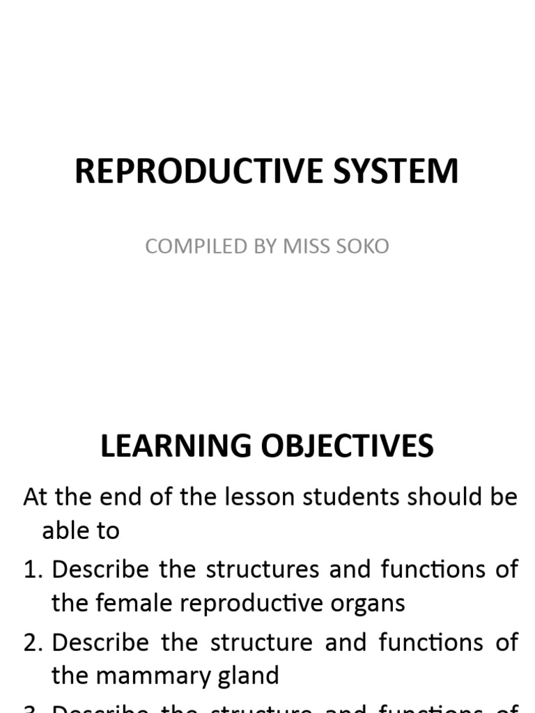 Reproductive System-1 | PDF | Uterus | Labia