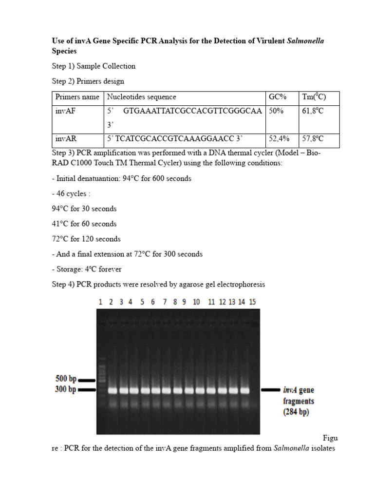Use of Inva Gene Specific PCR Analysis For The Detection of Virulent ...