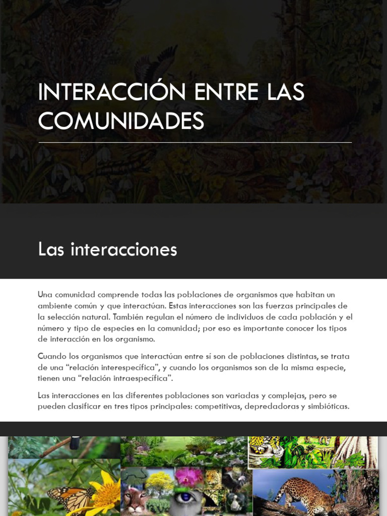 Tipos de Interacciones en Comunidades | PDF | Parasitismo | Simbiosis
