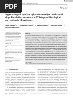 Understanding Stress Leukogram Patterns | PDF | White Blood Cell ...