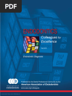 Endodontic Diagnosis Guidelines 2025 | PDF | Medical Diagnosis ...