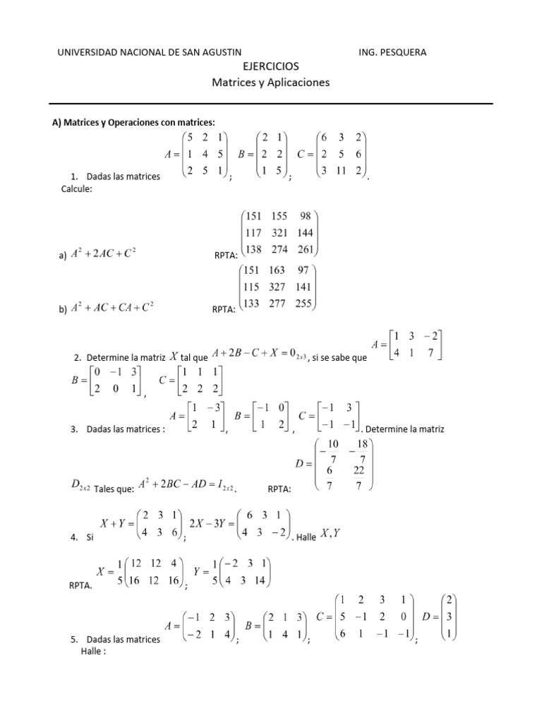 Ejercicios de Matrices | PDF | Matriz (Matemáticas) | Funciones y mapeos
