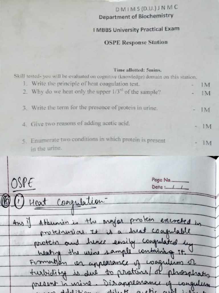 Ospe Biochem Ans | PDF
