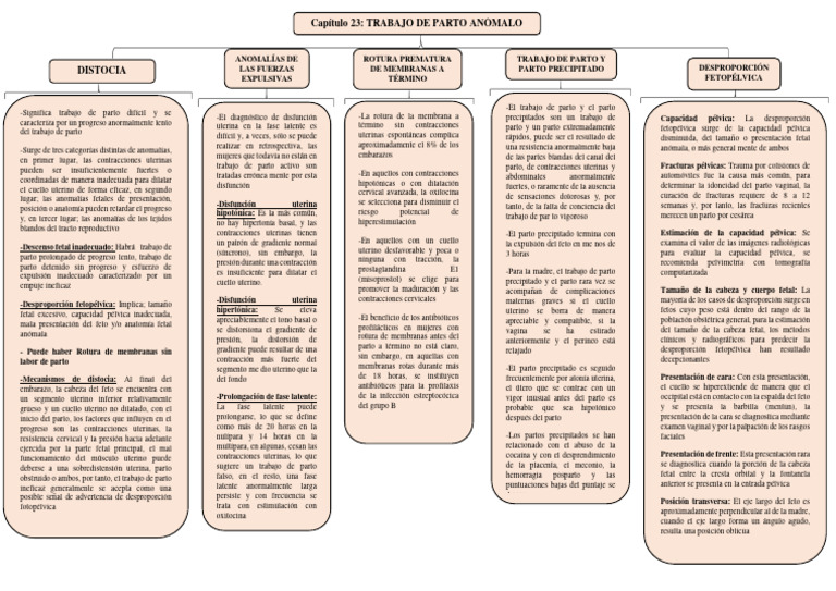 Parto Precipitado y Distocia Uterina | PDF | Parto | Ciencias de la Salud