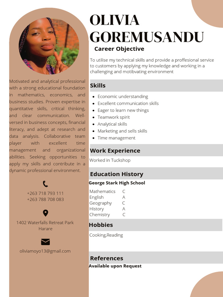 CV Format For Zimbabweans | PDF