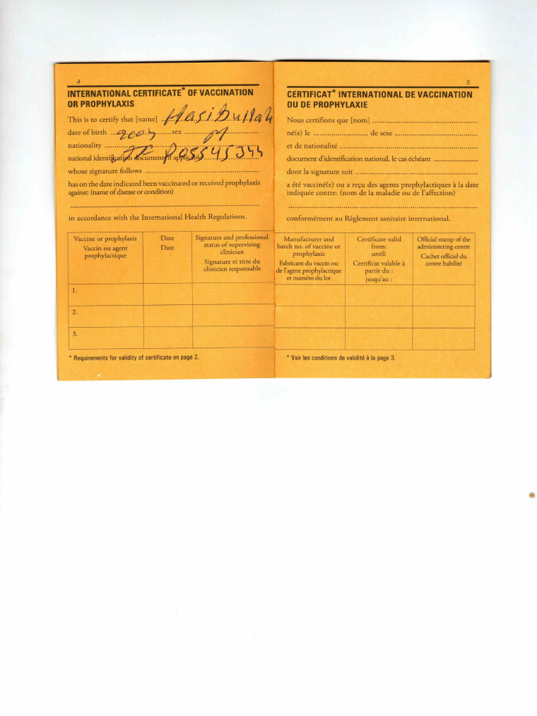 Hasibullah Sediqi HIV | PDF