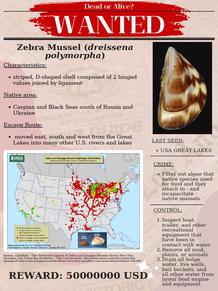 Zebra Mussel Poster | PDF