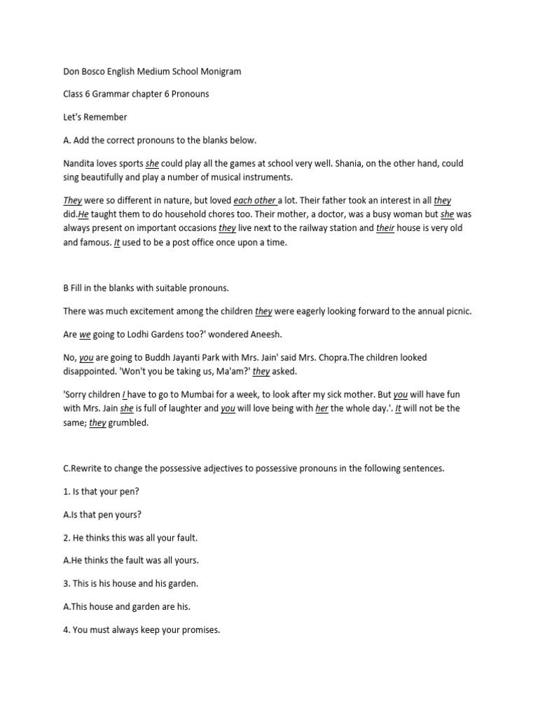 Class 6 Grammar Chapter 6 Pronouns | PDF