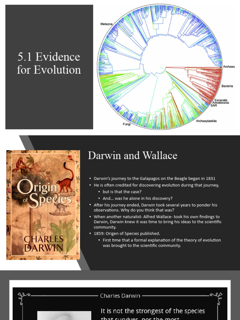5.1 Evidence For Evolution | PDF | Evolution | Fossil