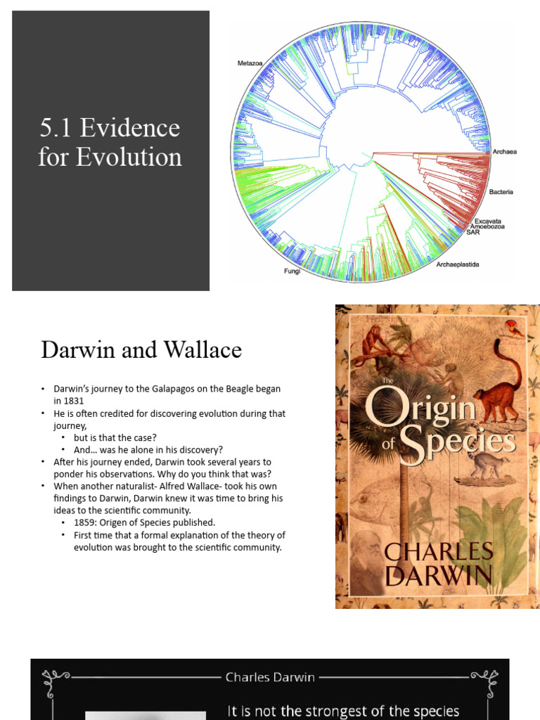 5.1 Evolution | PDF | Evolution | Species