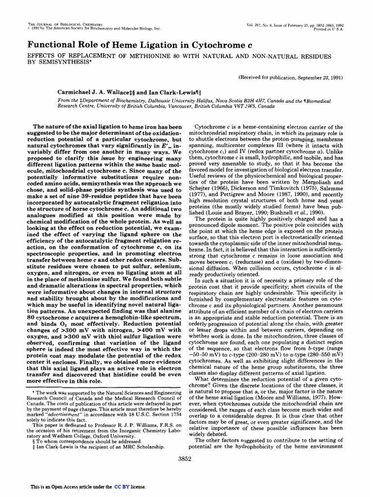 Functional Role of Heme Ligation in Cytochrome C | PDF | Cytochrome C ... Functional Role of Heme Ligation in Cytochrome C | PDF | Cytochrome C ...