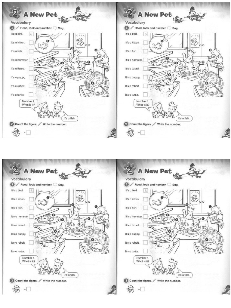 A New Pet Worksheet | PDF