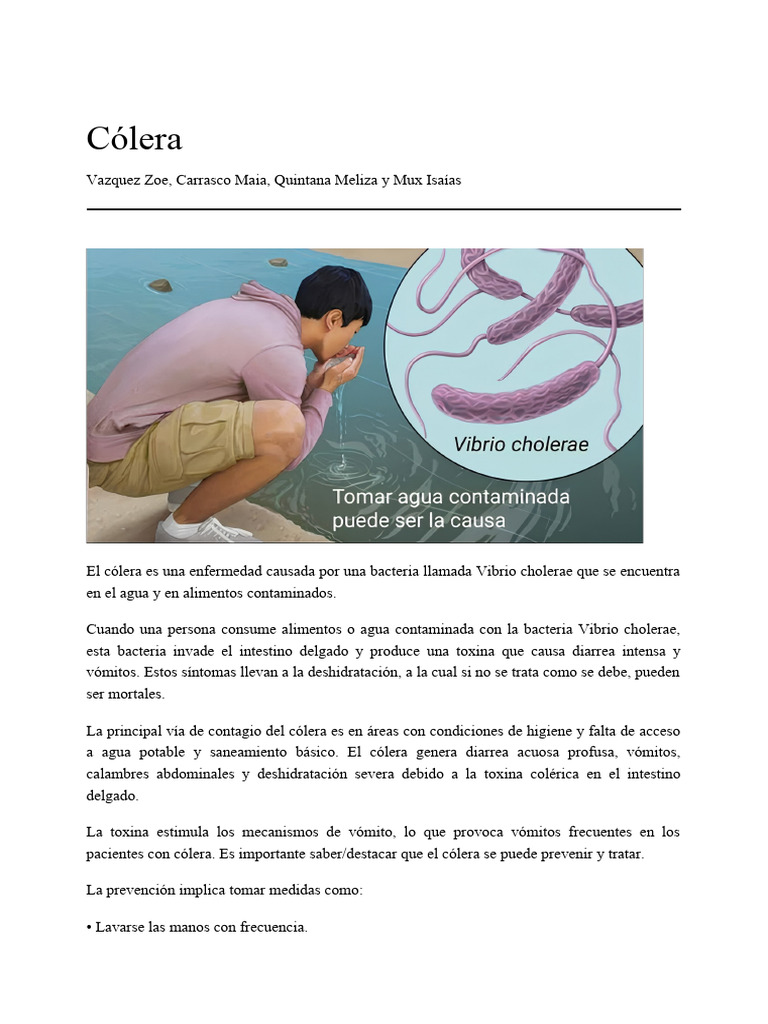 Prevención y tratamiento del cólera | PDF | Salud y bienestar