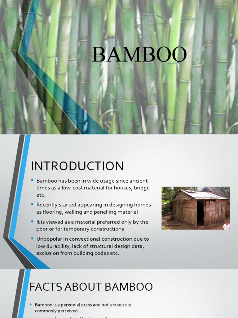 Bamboo | PDF | Bamboo | Wood