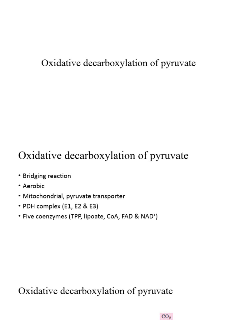 Pyruvate's Oxidative Decarboxylation Process | PDF | Science & Mathematics