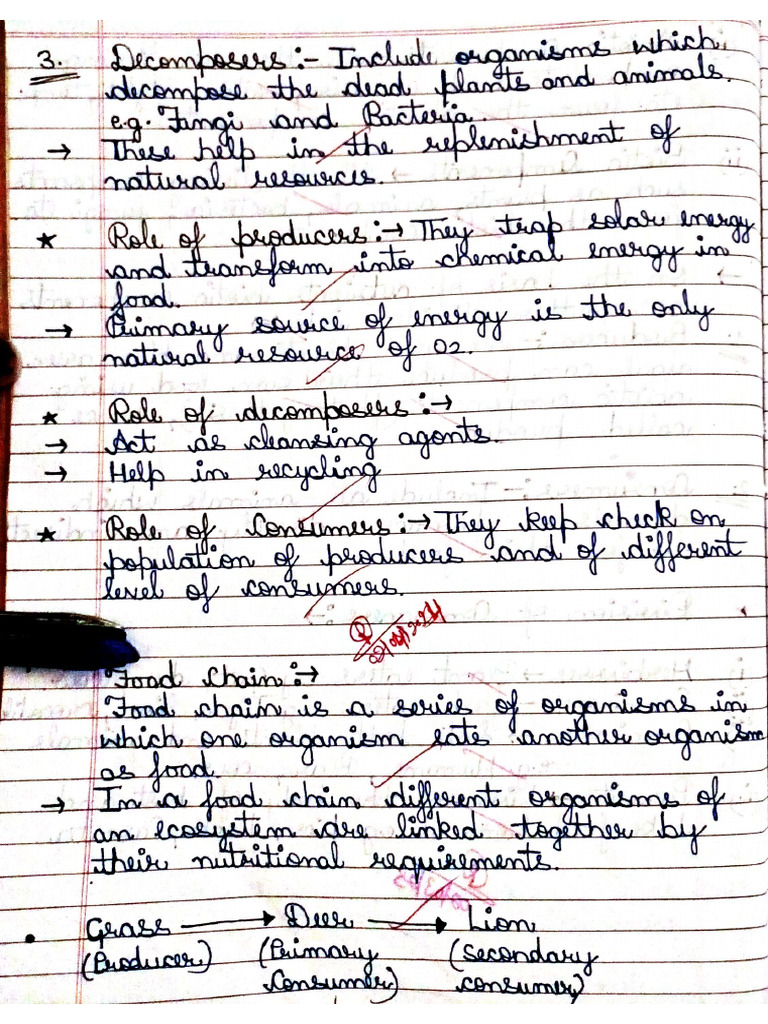 2nd PDF of Our Environment | PDF