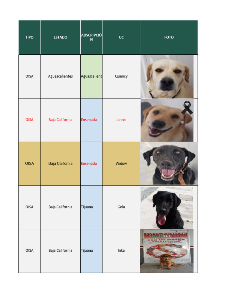 Medios de Verificaci N Actividad A4.1.6 4to Trimestre Cierre Cuenta P Blica | PDF