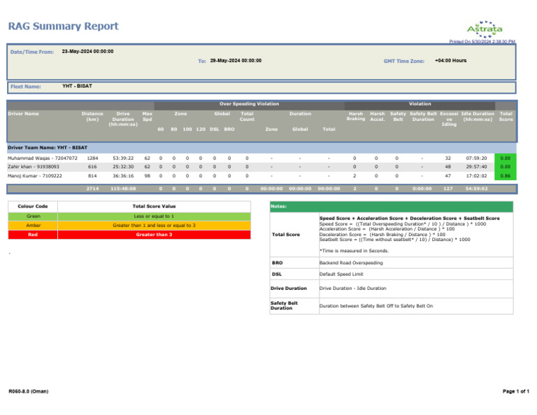 Ray Rag Summary Report | PDF | Transport Safety | Automotive Industry