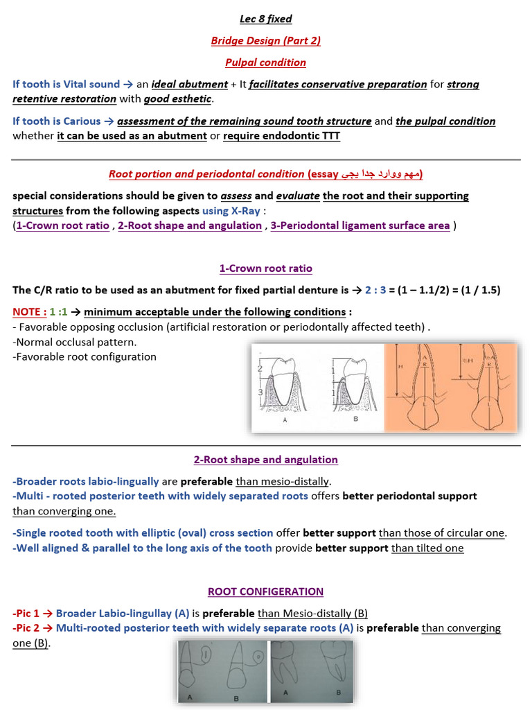 Lec 8 Fixed | PDF | Mouth | Tooth